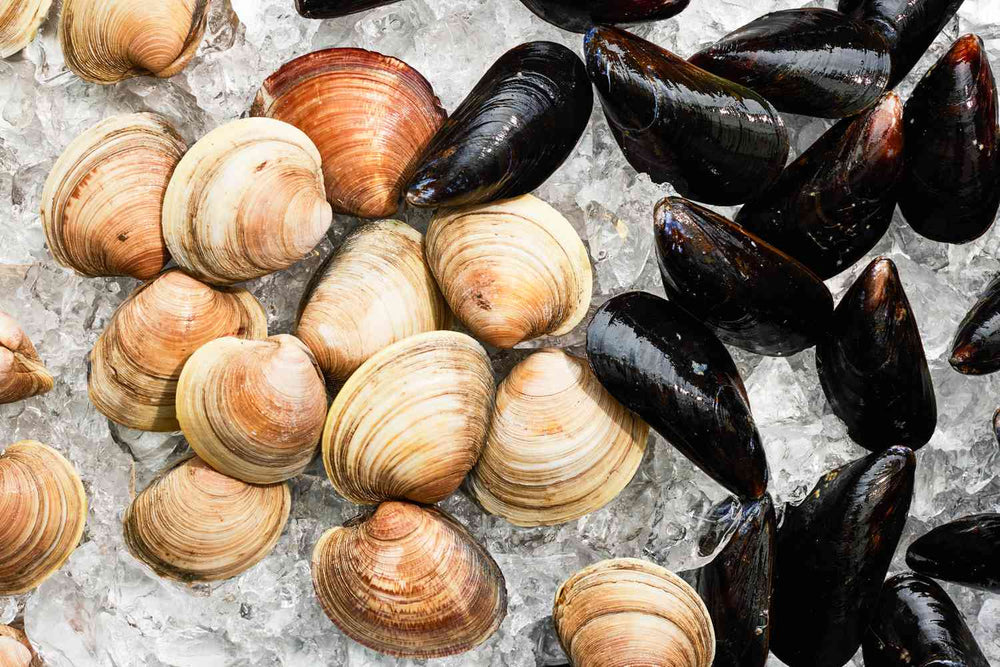 Mike's Fish Market – mikesfishmarket